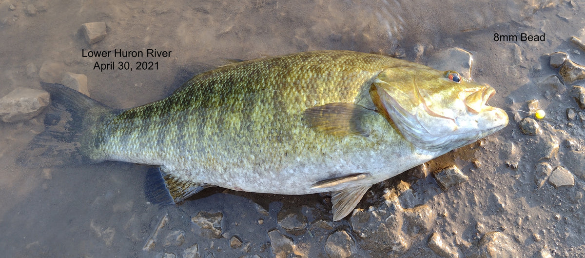 Lower Huron River May 10, No steel, 4 other species – Eggman Flies and ...