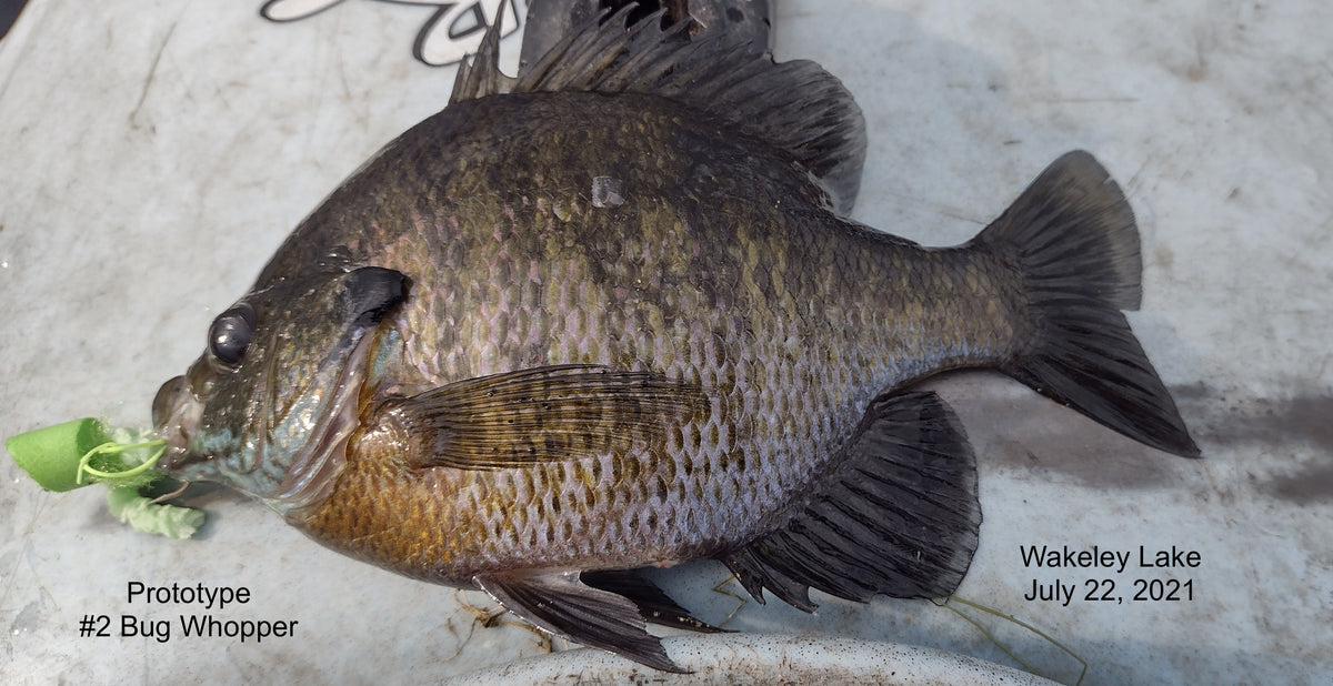 Wakeley ReDo, Bug Worm Popper is Born – Eggman Flies and Supplies