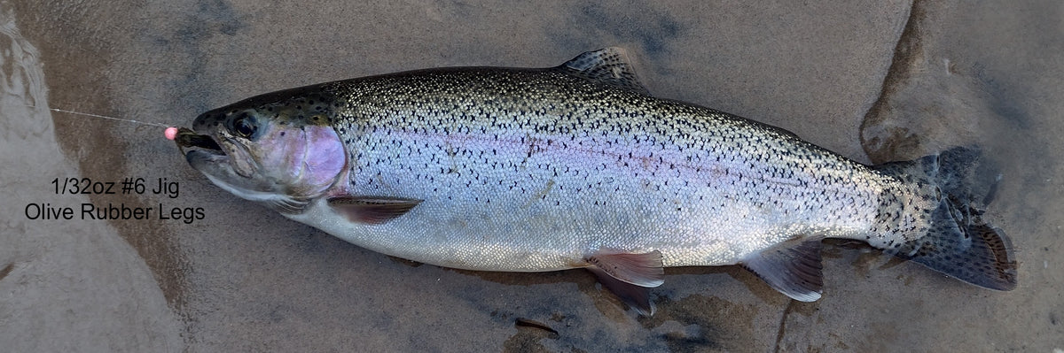 Slow at Tippy Dam, Got 2 Trout on Jigs, Decemner 7, 2023 – Eggman Flies ...