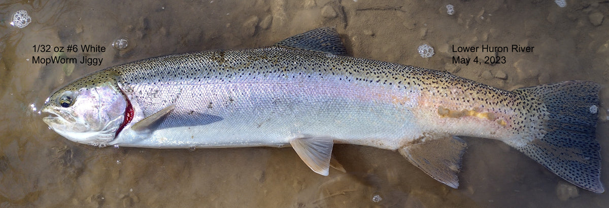 Huron River Drop Back Steelhead, April 29, May 5, 2023 – Eggman Flies ...