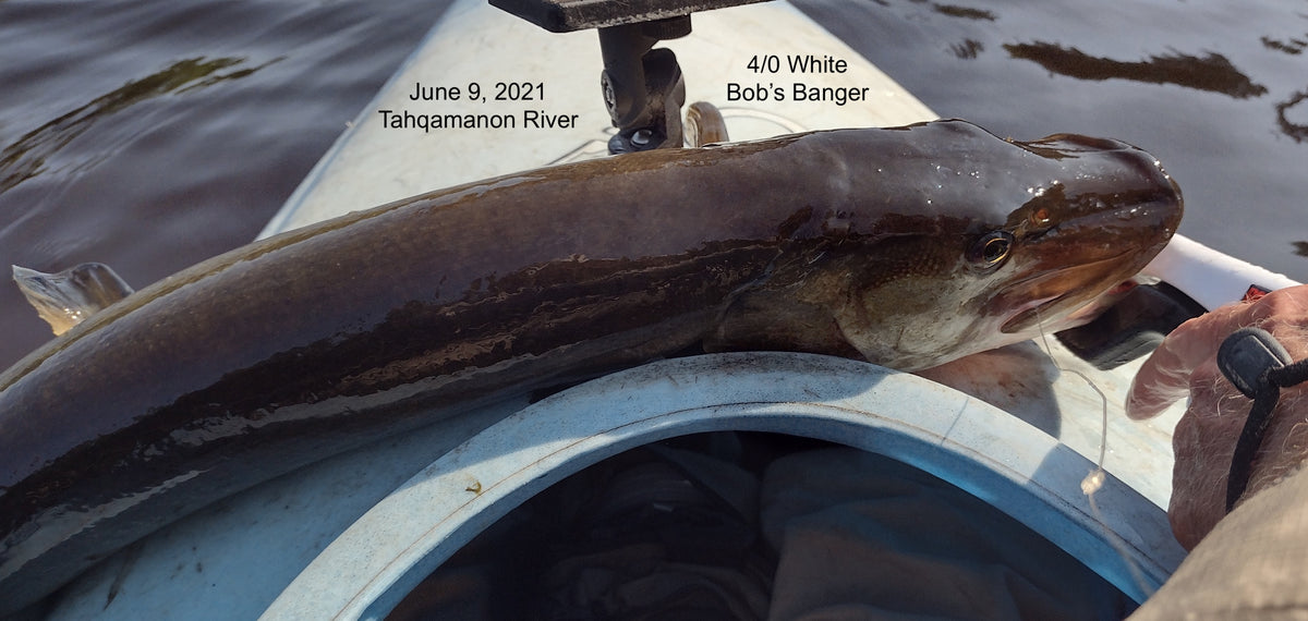 Tahquamanon Musky Pike on Poppers – Eggman Flies and Supplies