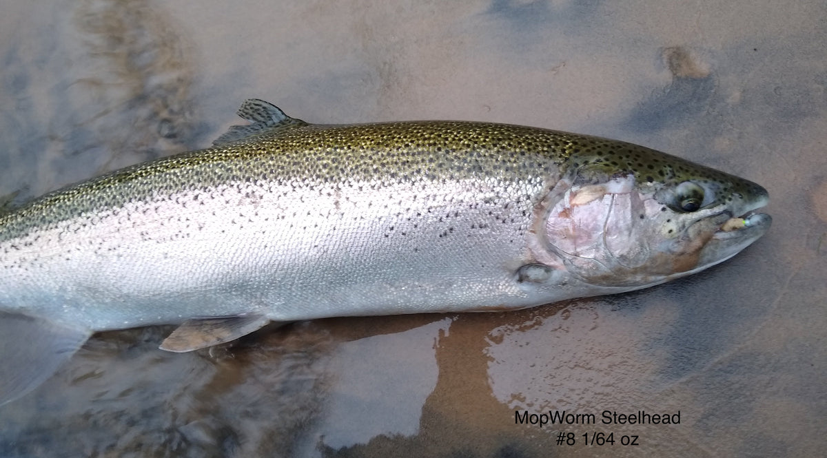 Steelhead Stuff – Eggman Flies and Supplies